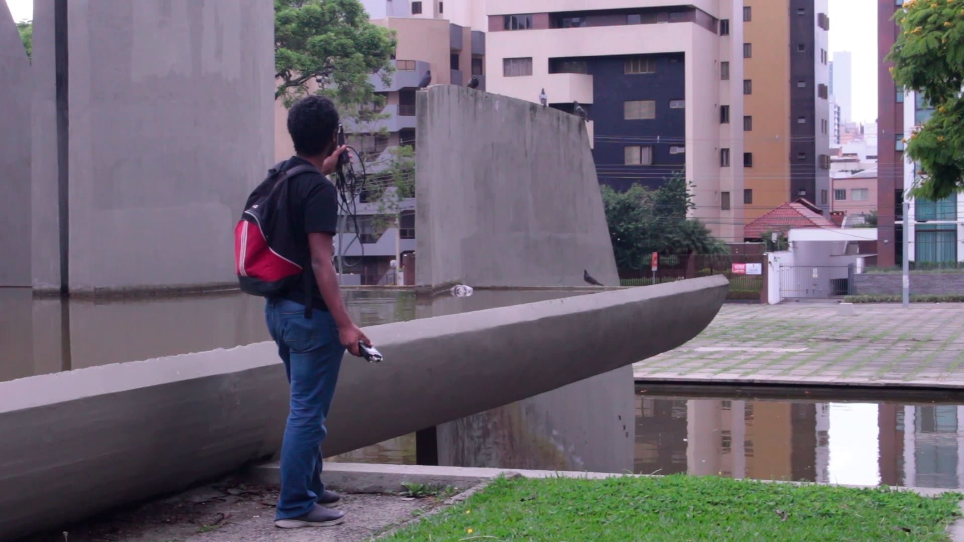 O Pombo Image - ID: 322886 - Image Abyss