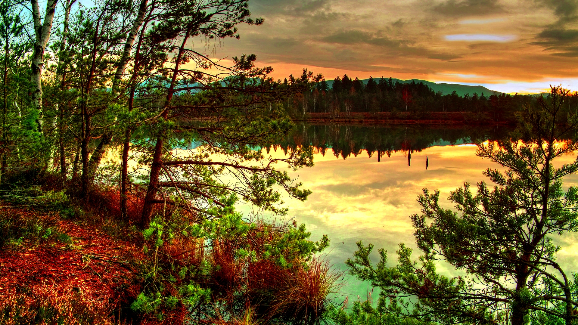 Serene Lakeside Sunset: Nature’s Tranquil Embrace