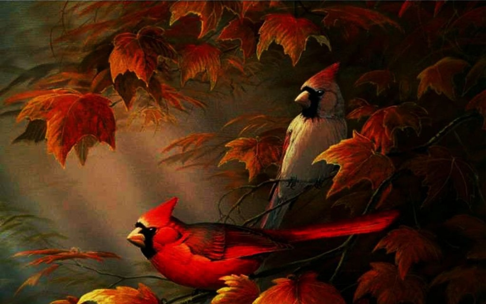 Download Branch Fall Bird Animal Cardinal Image