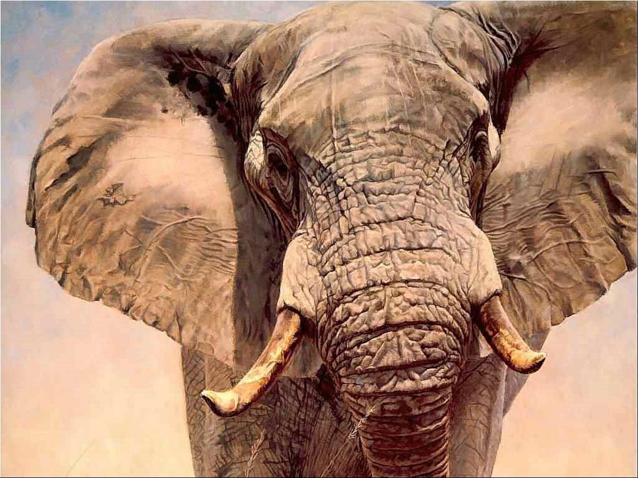 African Bush Elephant: Majestic Nature's Guardian