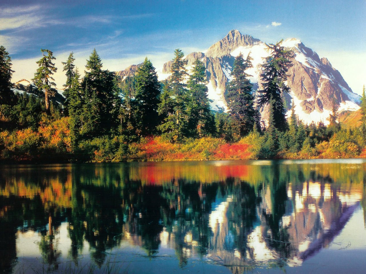 Download Nature Reflection Image