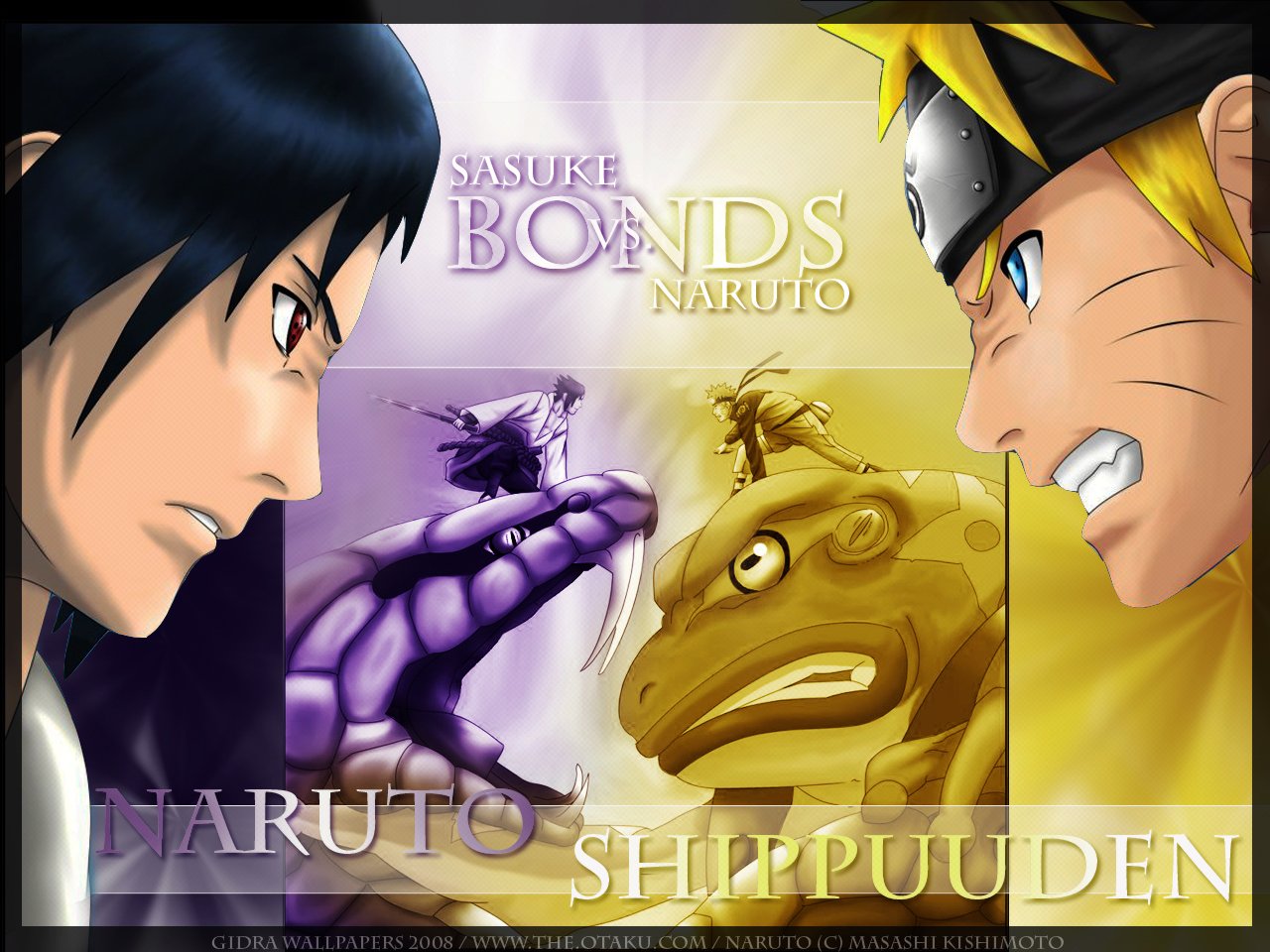 Naruto Shippuden: Bonds of Naruto and Sasuke