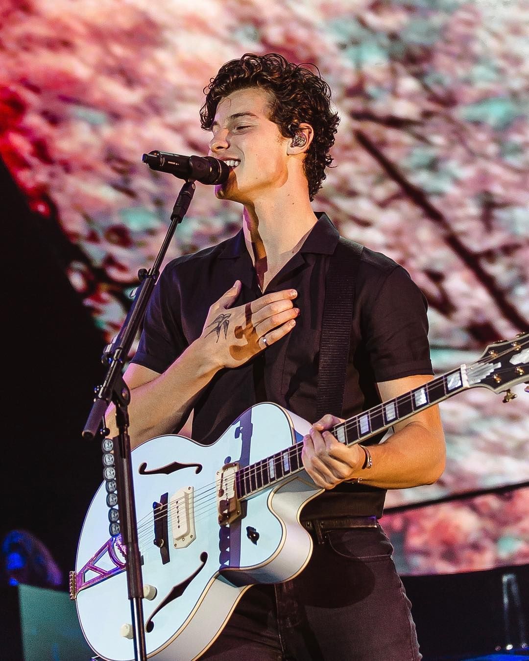 Download Singer Music Shawn Mendes Image