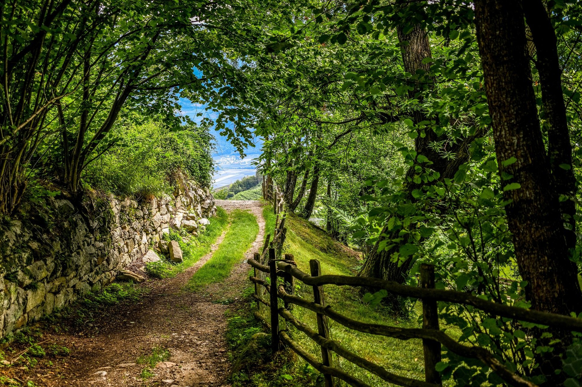 Download Fence Stone Wall Dirt Road Nature Path Image