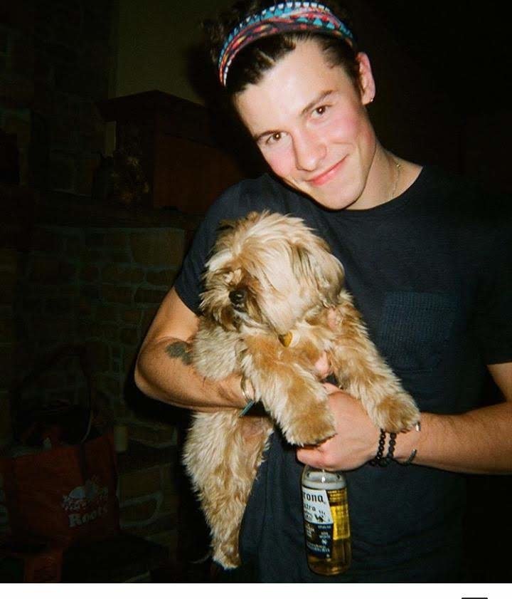 Shawn Mendes - Desktop Wallpapers, Phone Wallpaper, PFP, Gifs, and More!