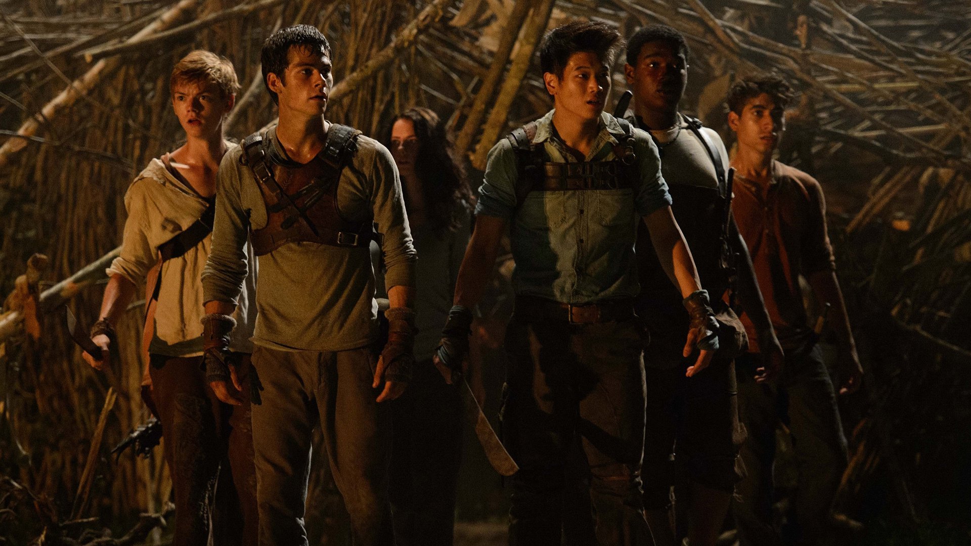The Maze Runner Picture - Image Abyss