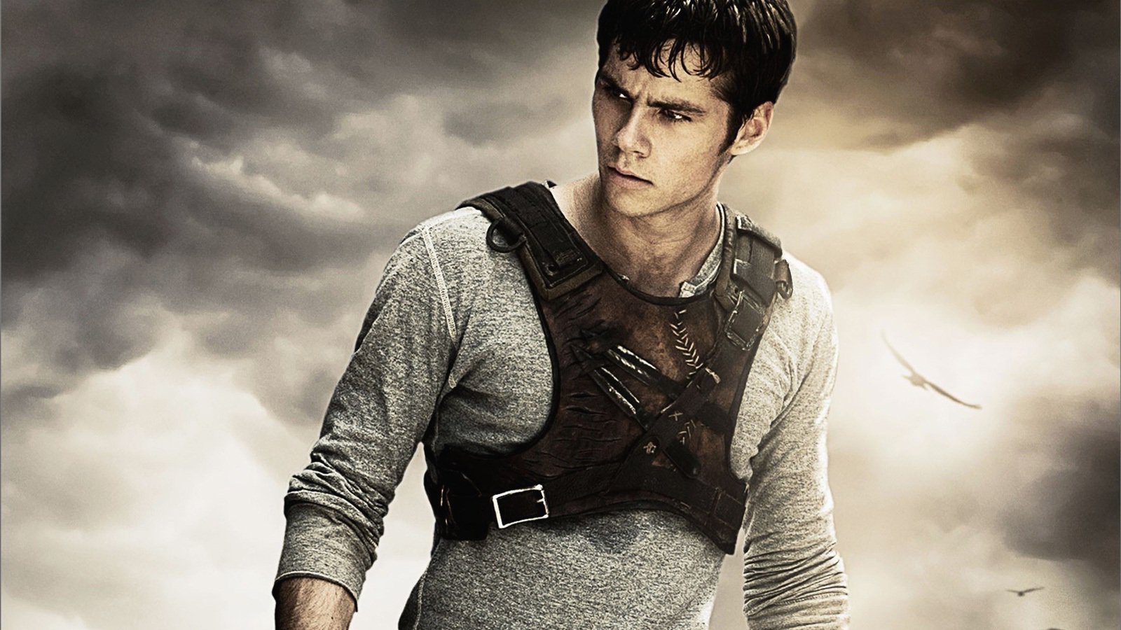The Maze Runner Picture - Image Abyss