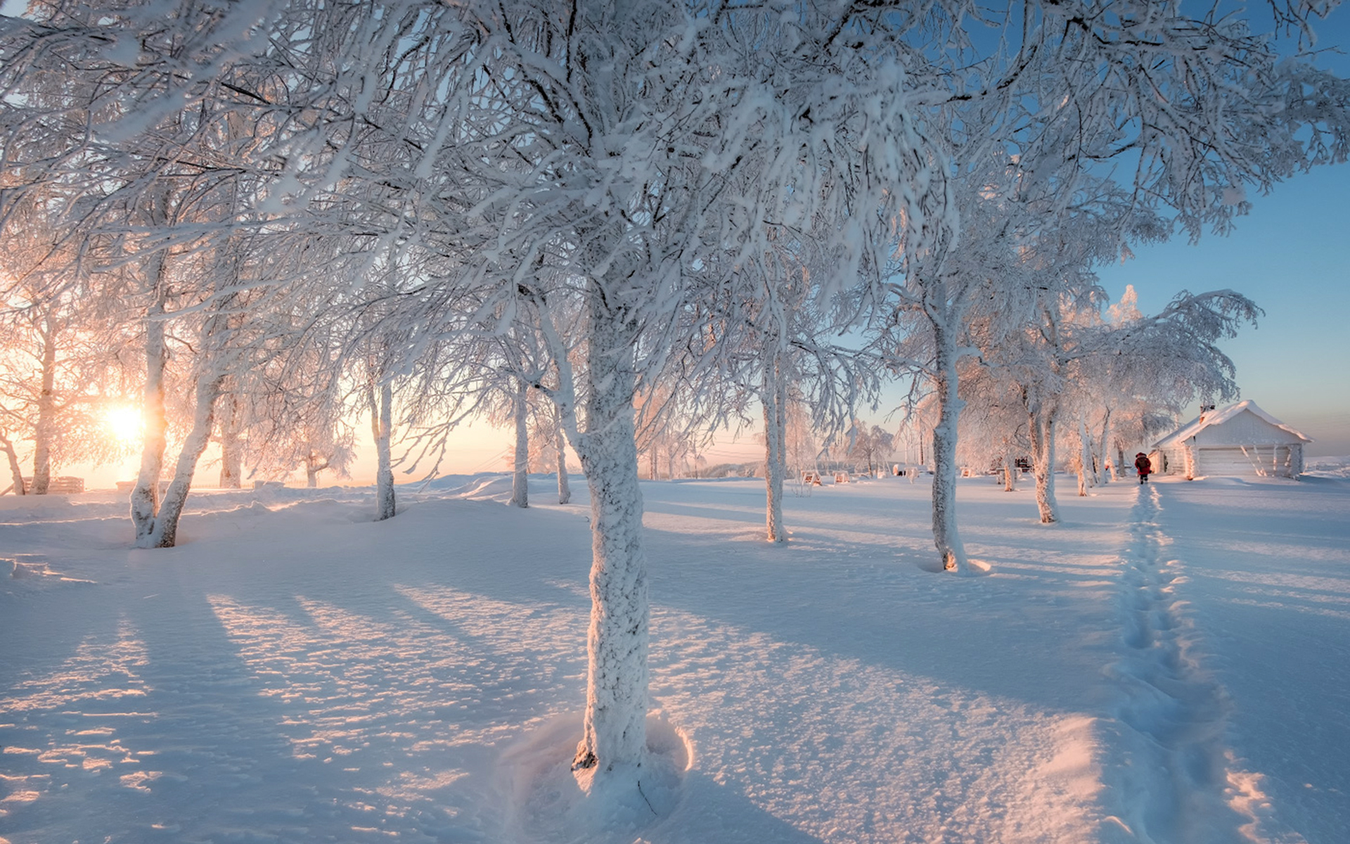 Download Snow Photography Winter Image