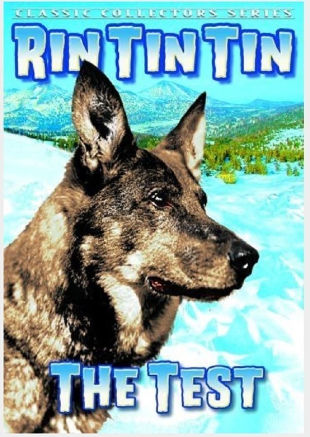 The Test Picture - Image Abyss