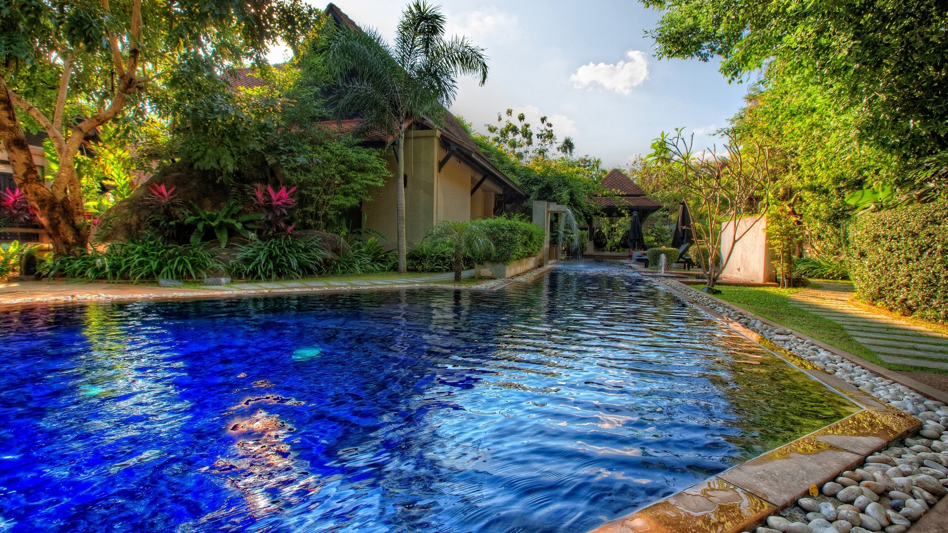 Serene Man-Made Oasis: Tranquil Pool Amidst Lush Greenery