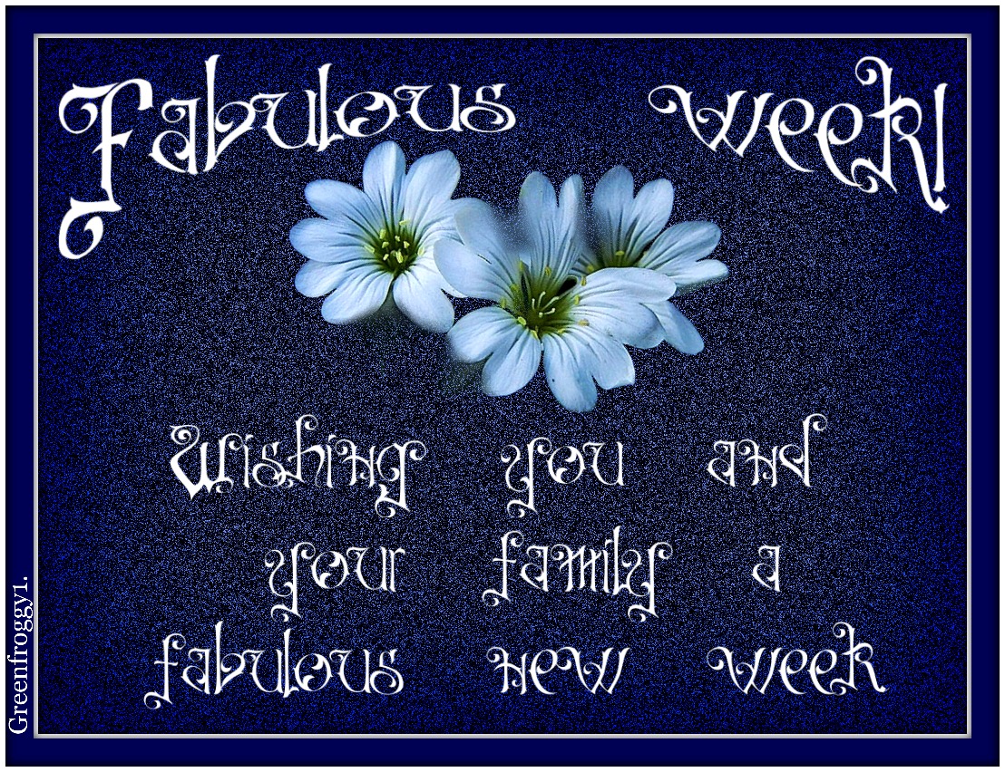 FABULOUS WEEK by GREENFROGGY1