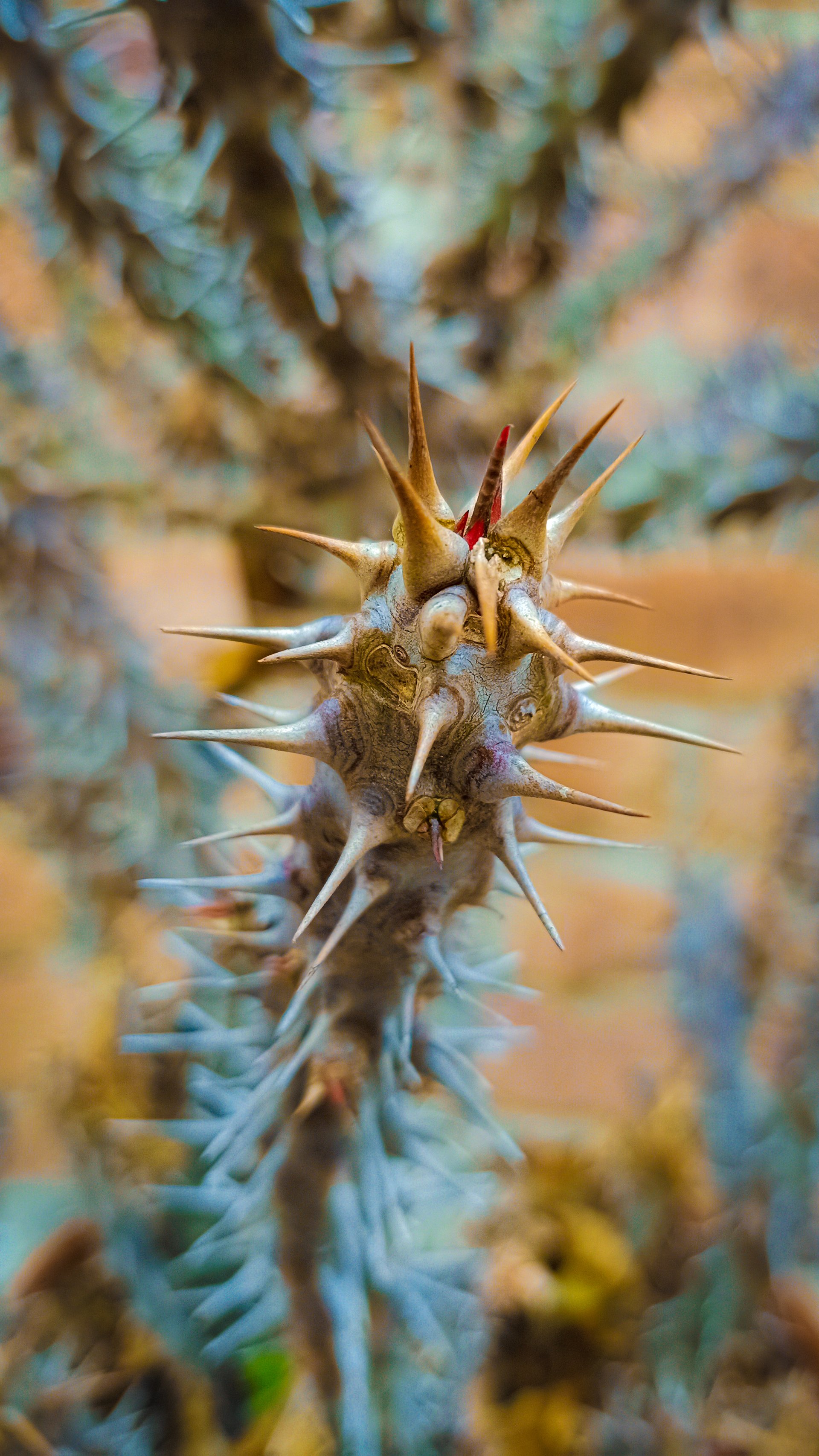 Spiky! by Z-kinG