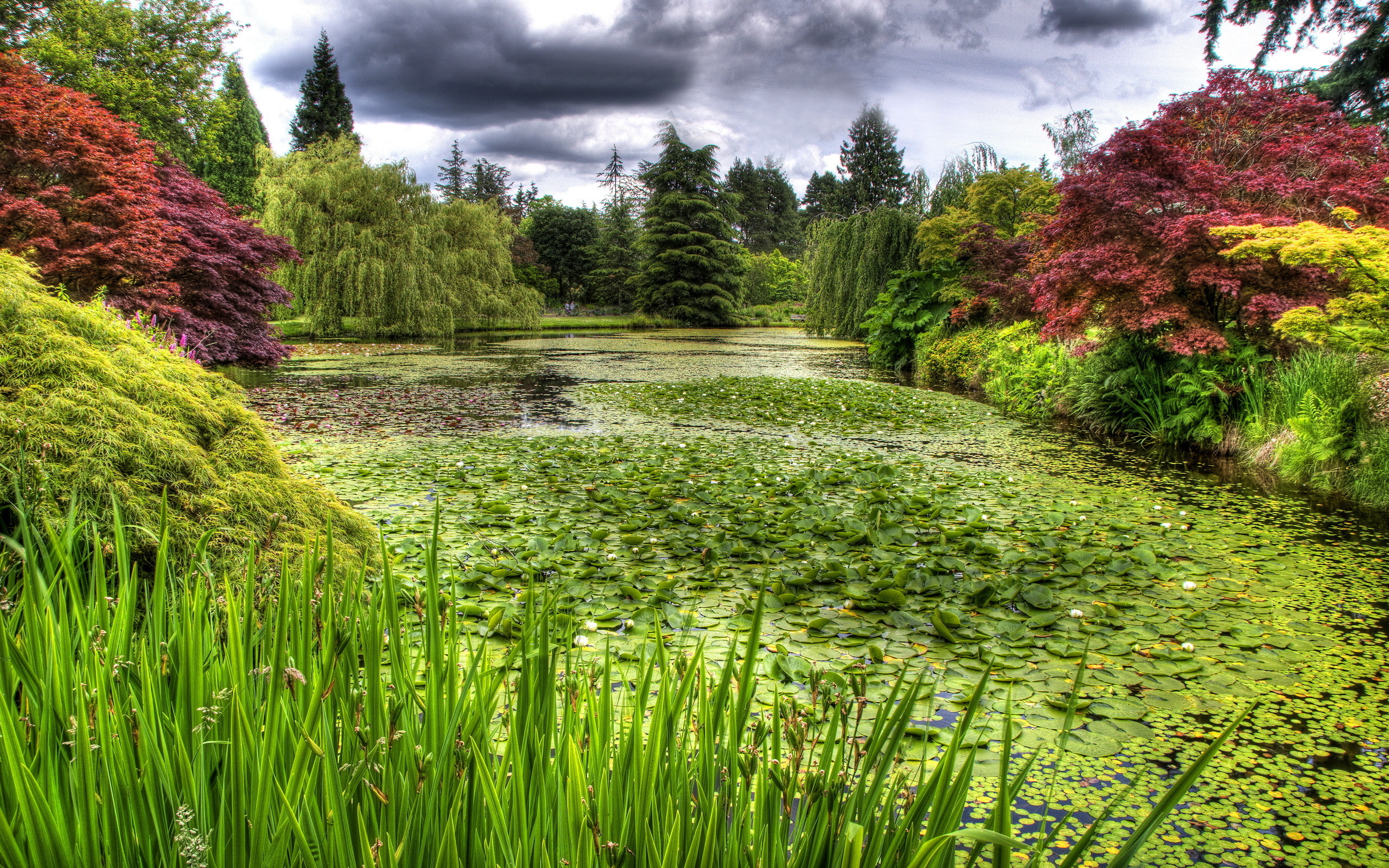 Lush Serenity: A Captivating Park Photography Scene