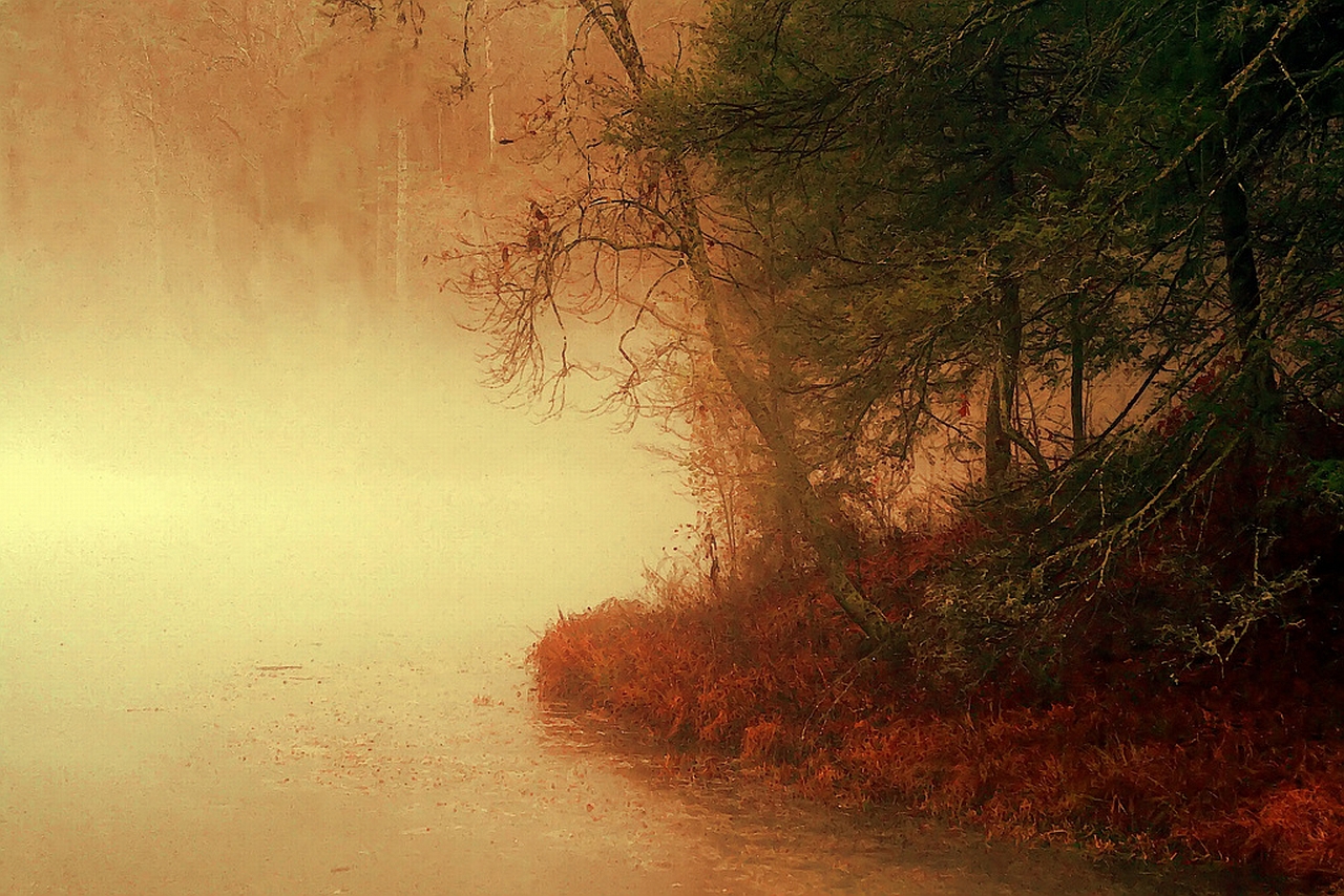 Download Nature Fog Image