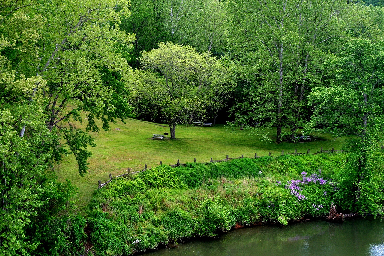 Download Photography Park Image