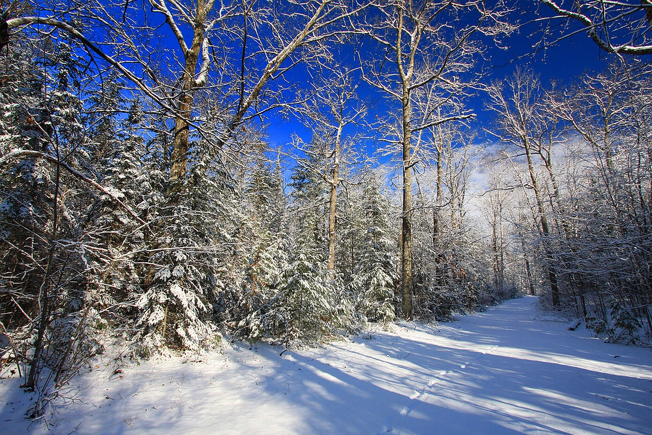 Winter Picture - Image Abyss