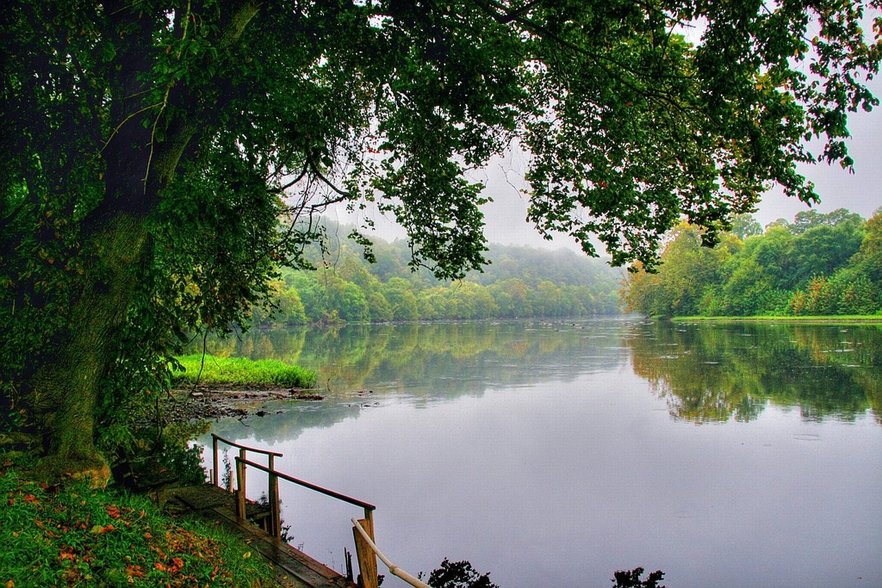 Captured Calm: Lakeside Reflection