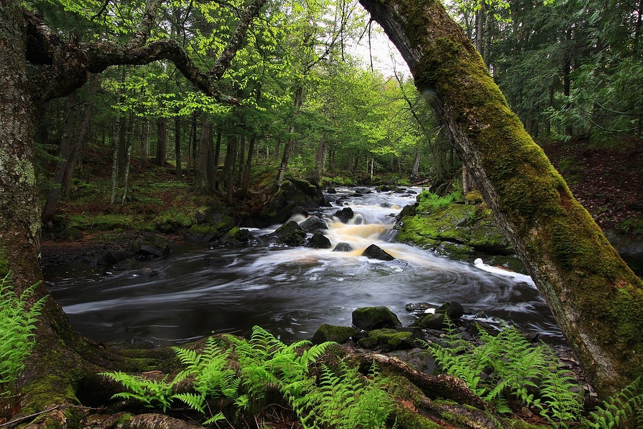 River Image - ID: 340130 - Image Abyss