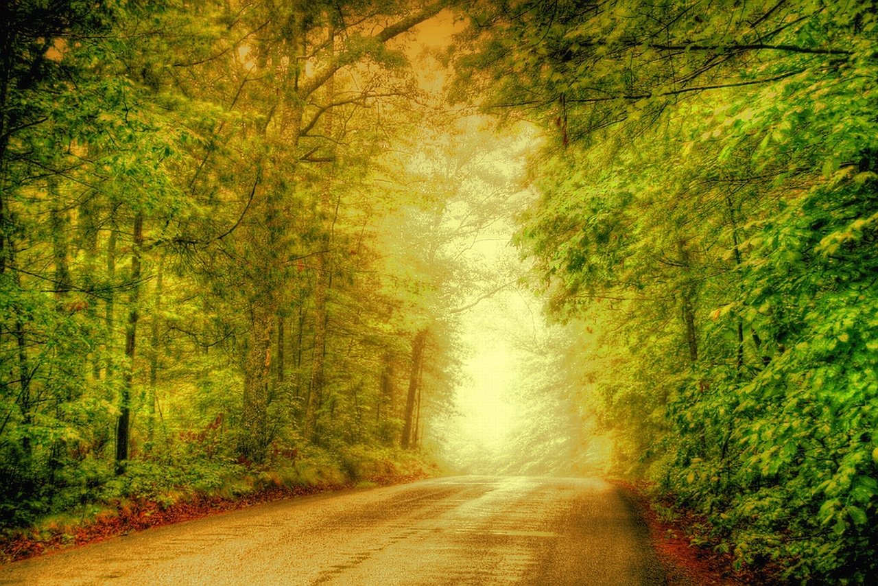 Download Nature Path Image