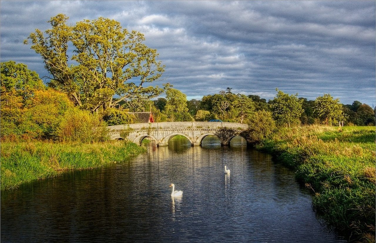 Download Man Made Bridge Image