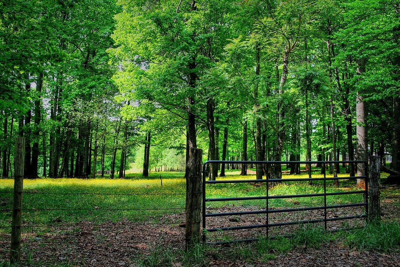 Download Man Made Fence Image