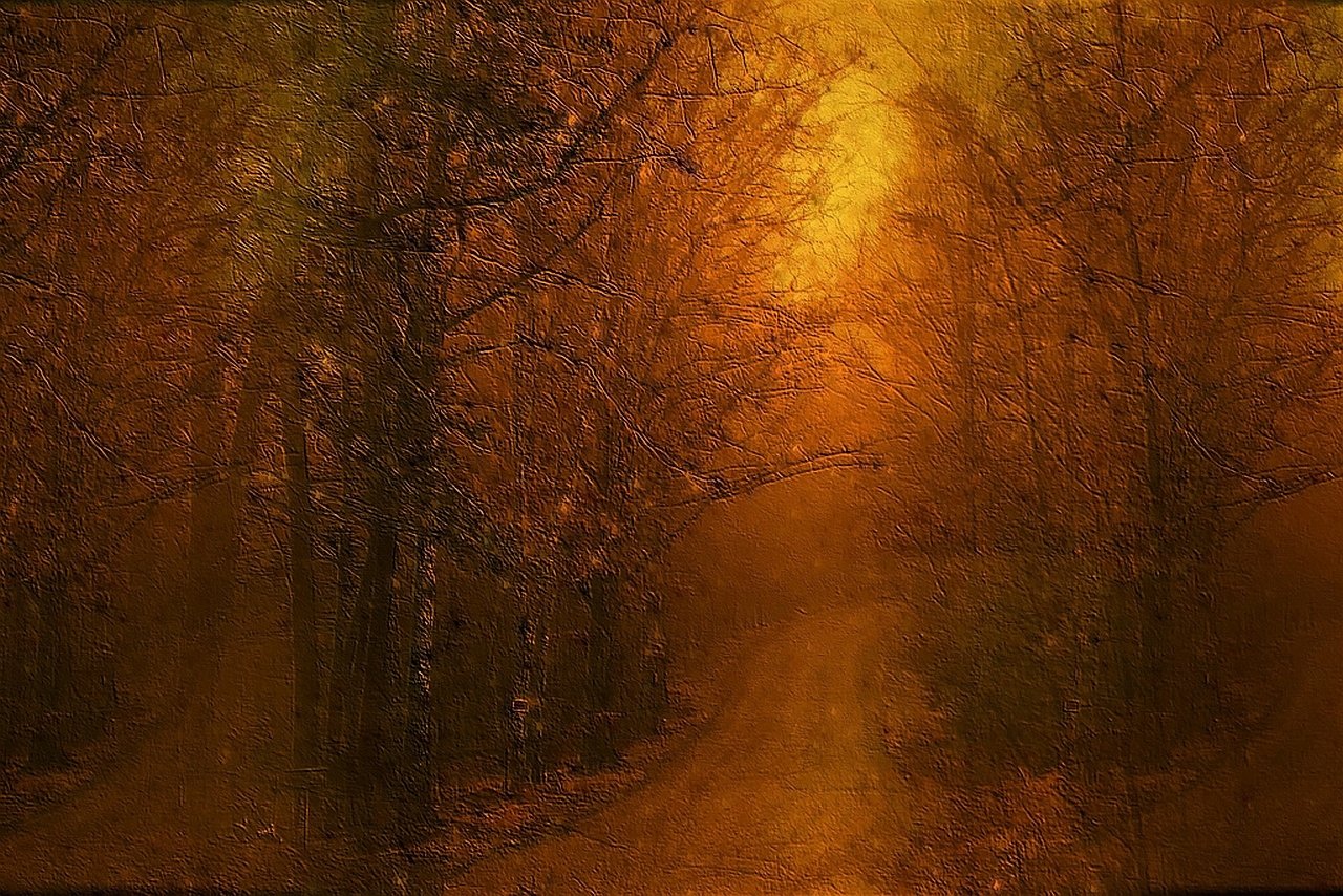 Road Image - ID: 340607 - Image Abyss