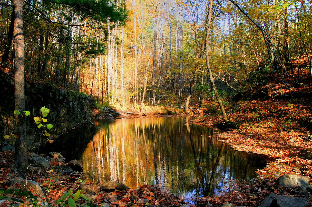 Download Nature Stream Image