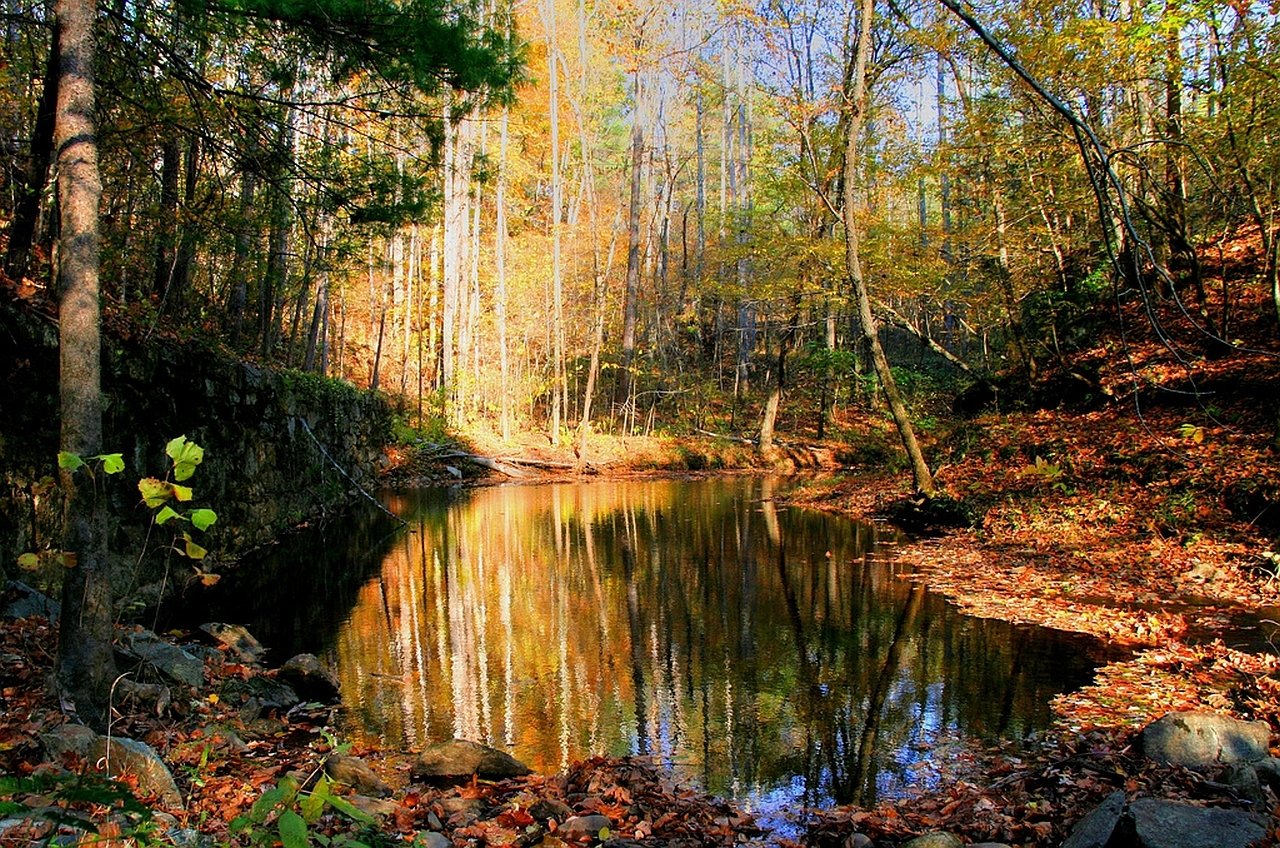 Download Nature Stream Image