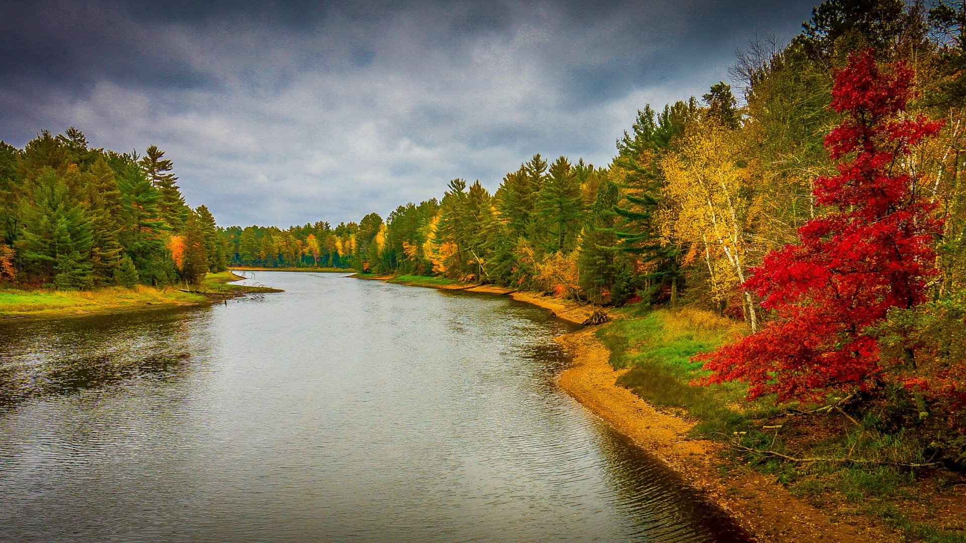 Download Fall Forest Nature River Image