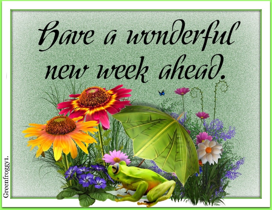 WONDERFUL NEW WEEK by GREENFROGGY1 - Image Abyss