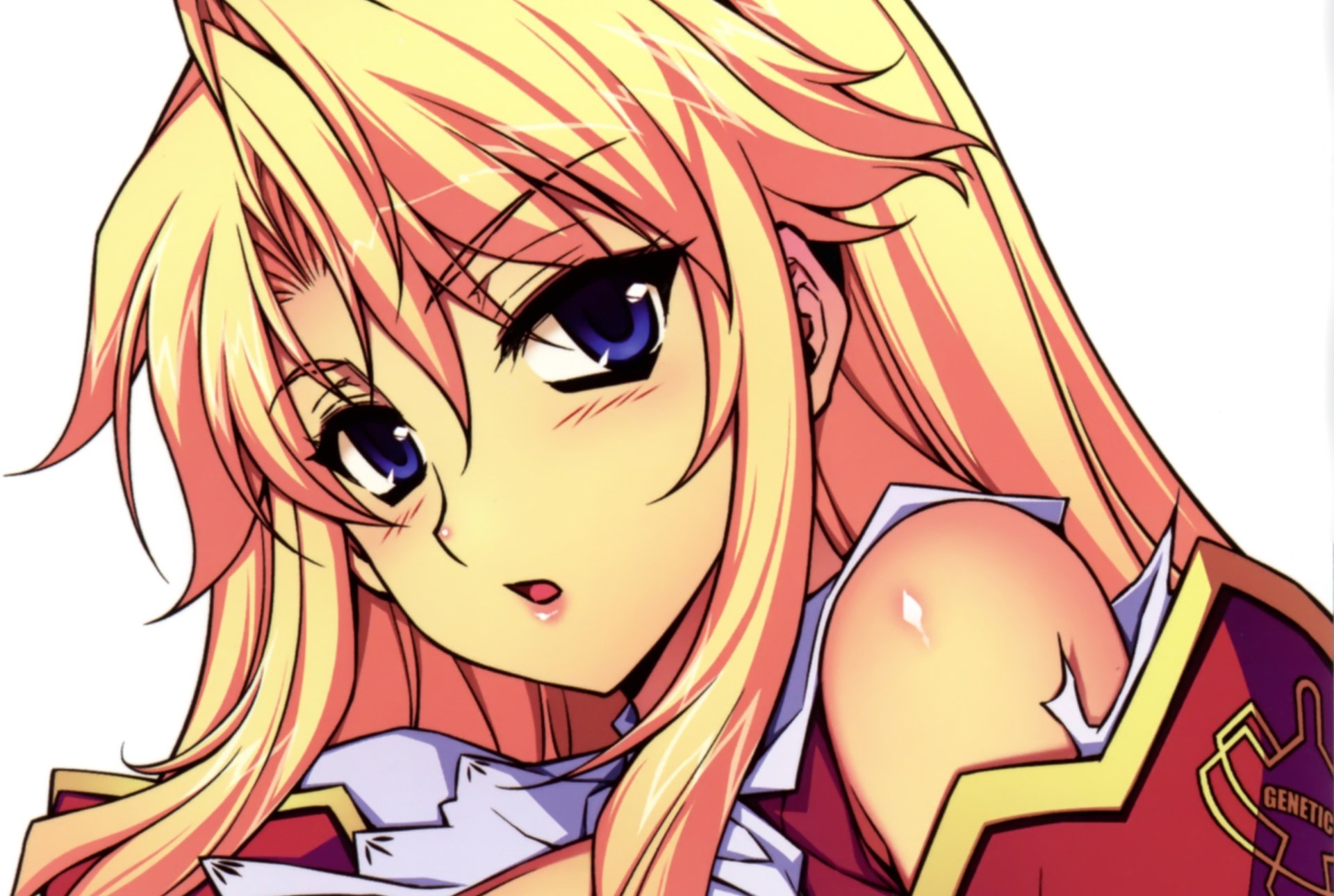 Download Satellizer L. Bridget Anime Freezing Image