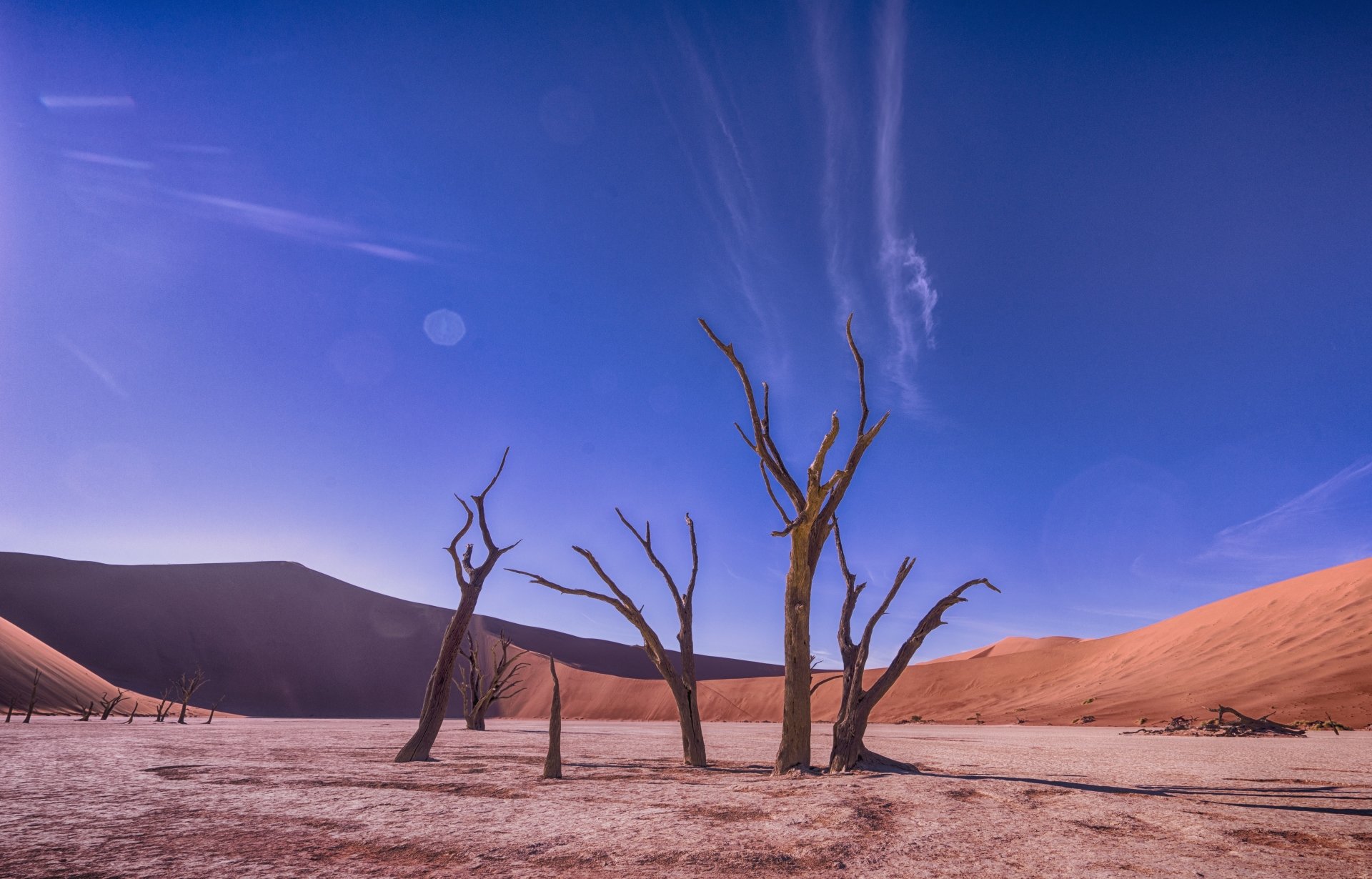 Download Landscape Nature Tree Image