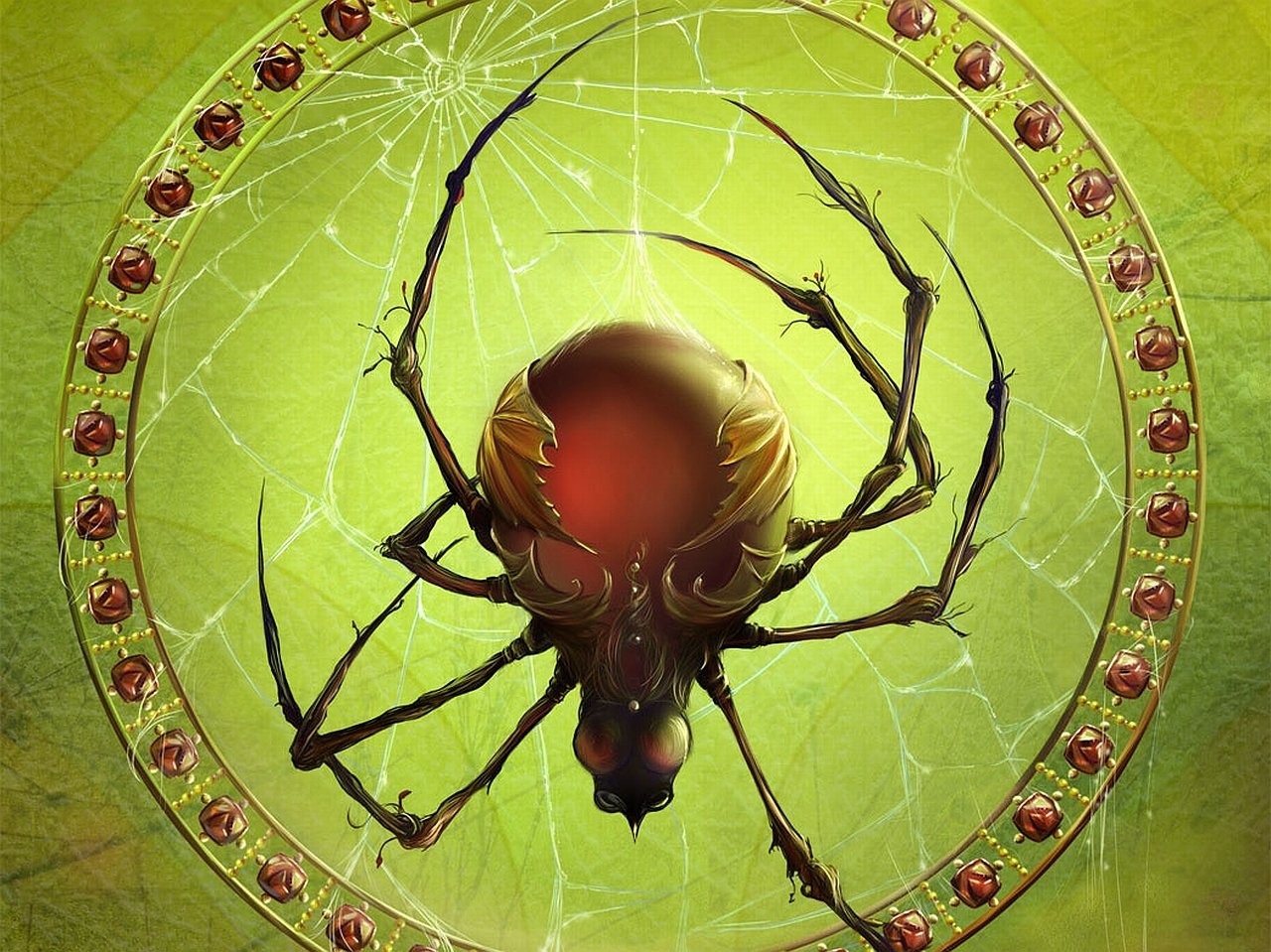 Spider Image - ID: 345728 - Image Abyss