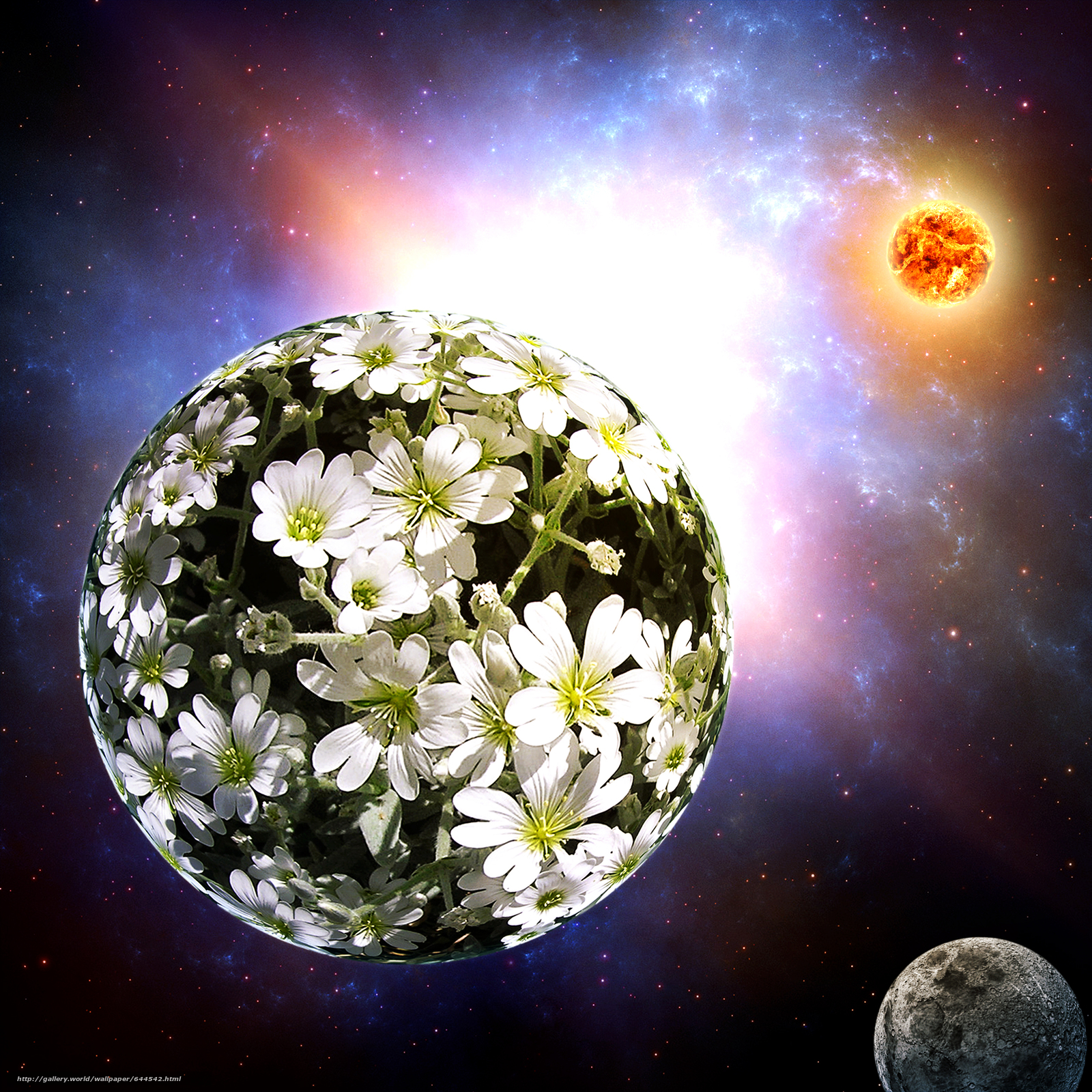 Flower Planet - Image Abyss