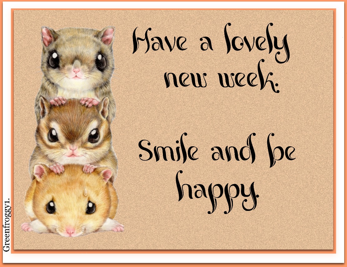 LOVELY NEW WEEK by GREENFROGGY1