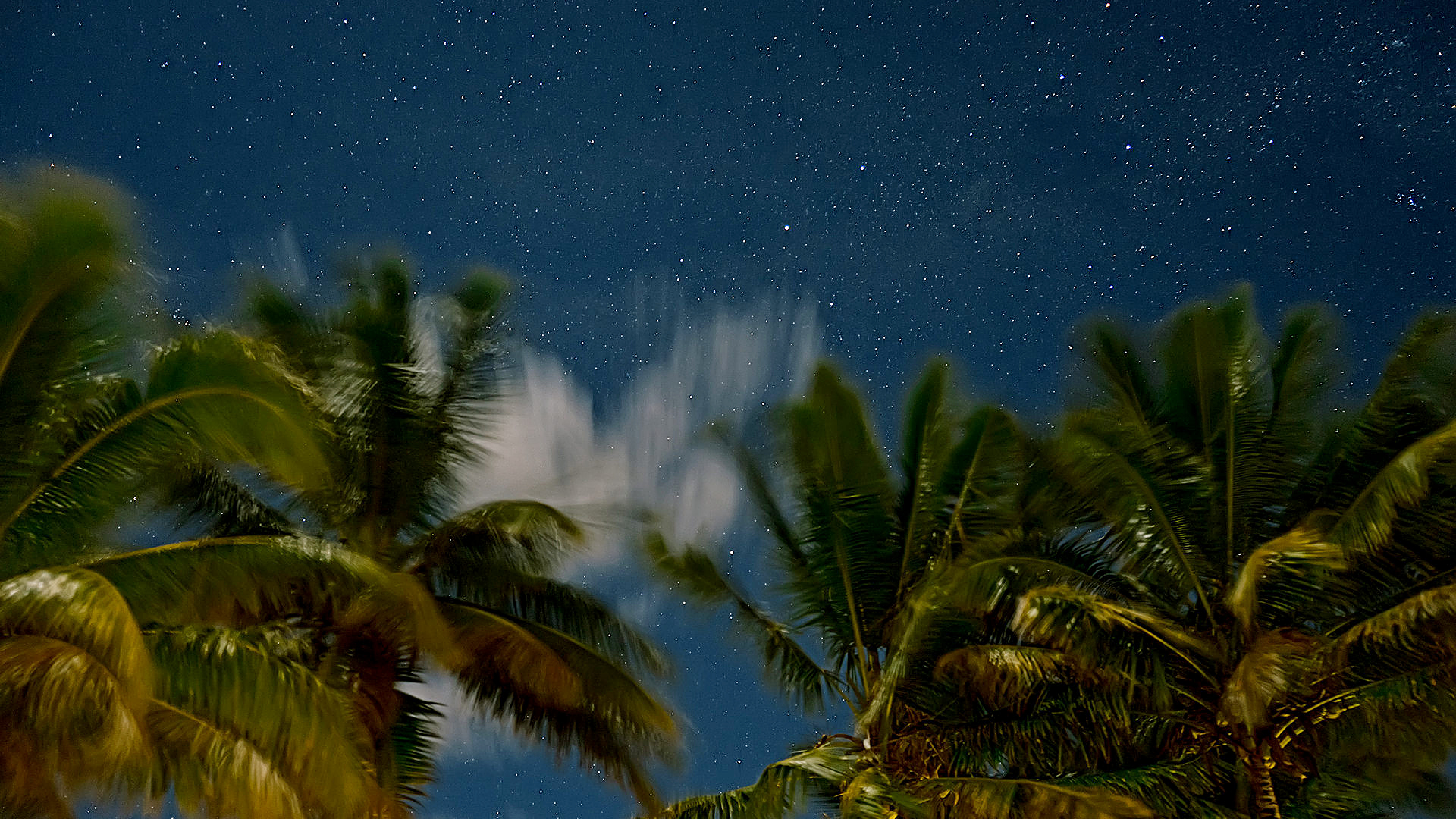 Star clusters above Mauritius by Dragisa Braunovic - Image Abyss