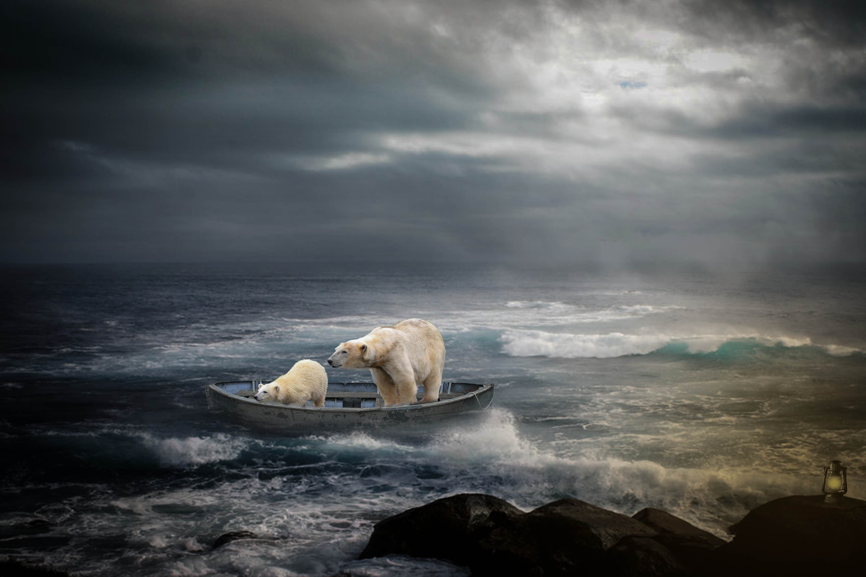 Download Cub Wave Ocean Canoe Animal Polar Bear Ocean Waves Image