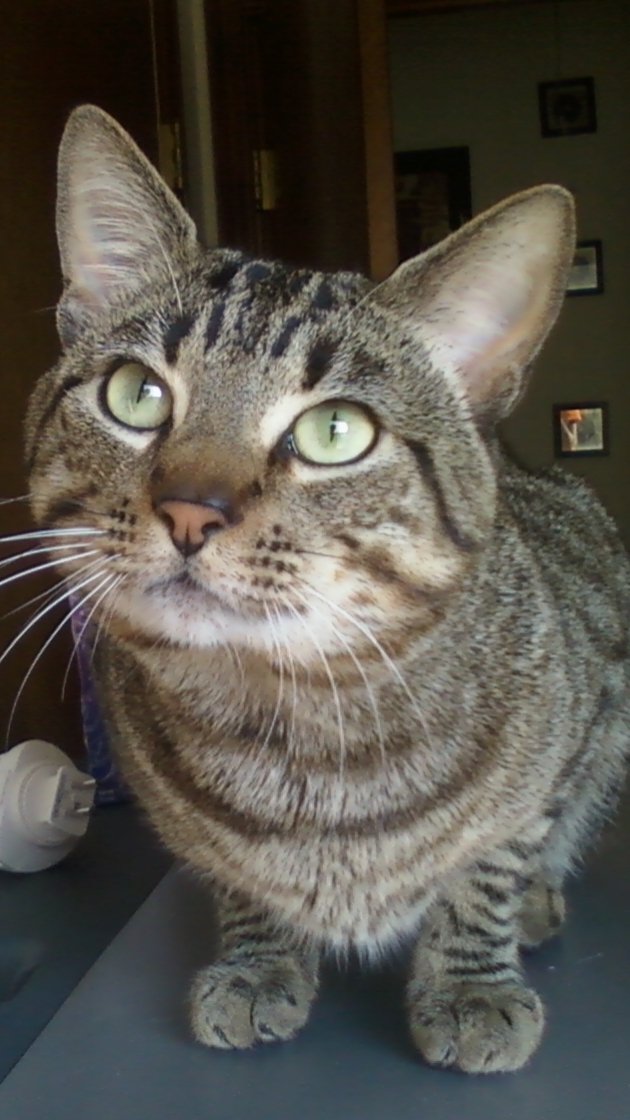 Kai Image - ID: 348052 - Image Abyss