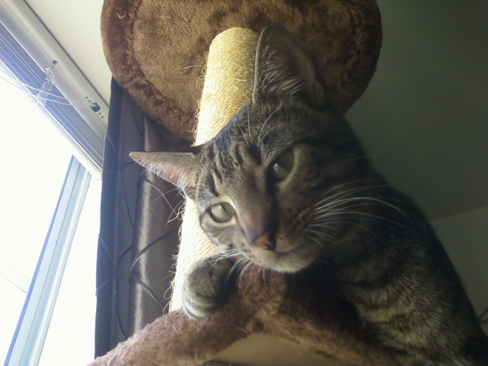 Kai Image - ID: 348223 - Image Abyss