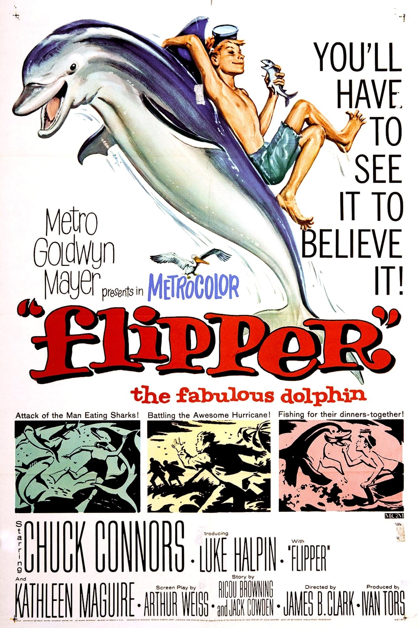 Download Movie Flipper (1996) Image