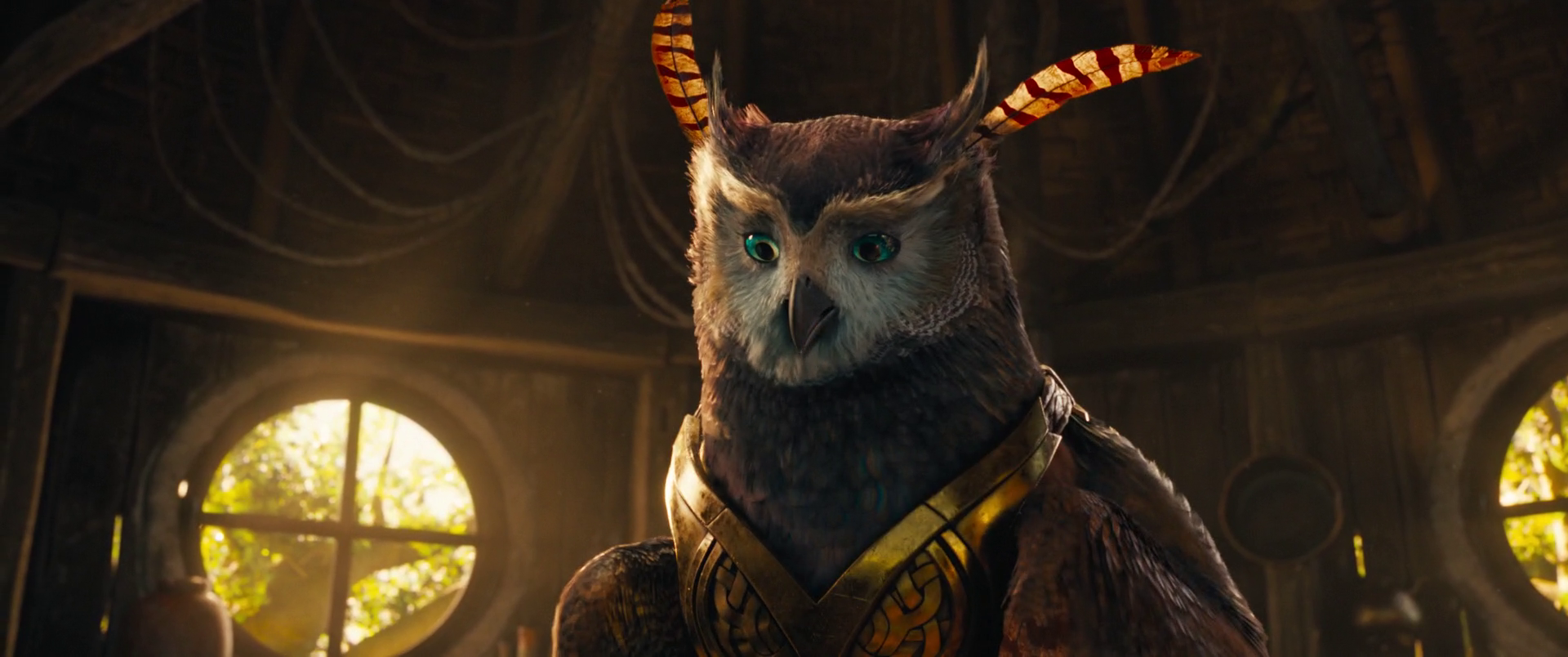 Longclaw The Owl - Desktop Wallpapers, Phone Wallpaper, PFP, Gifs, and ...