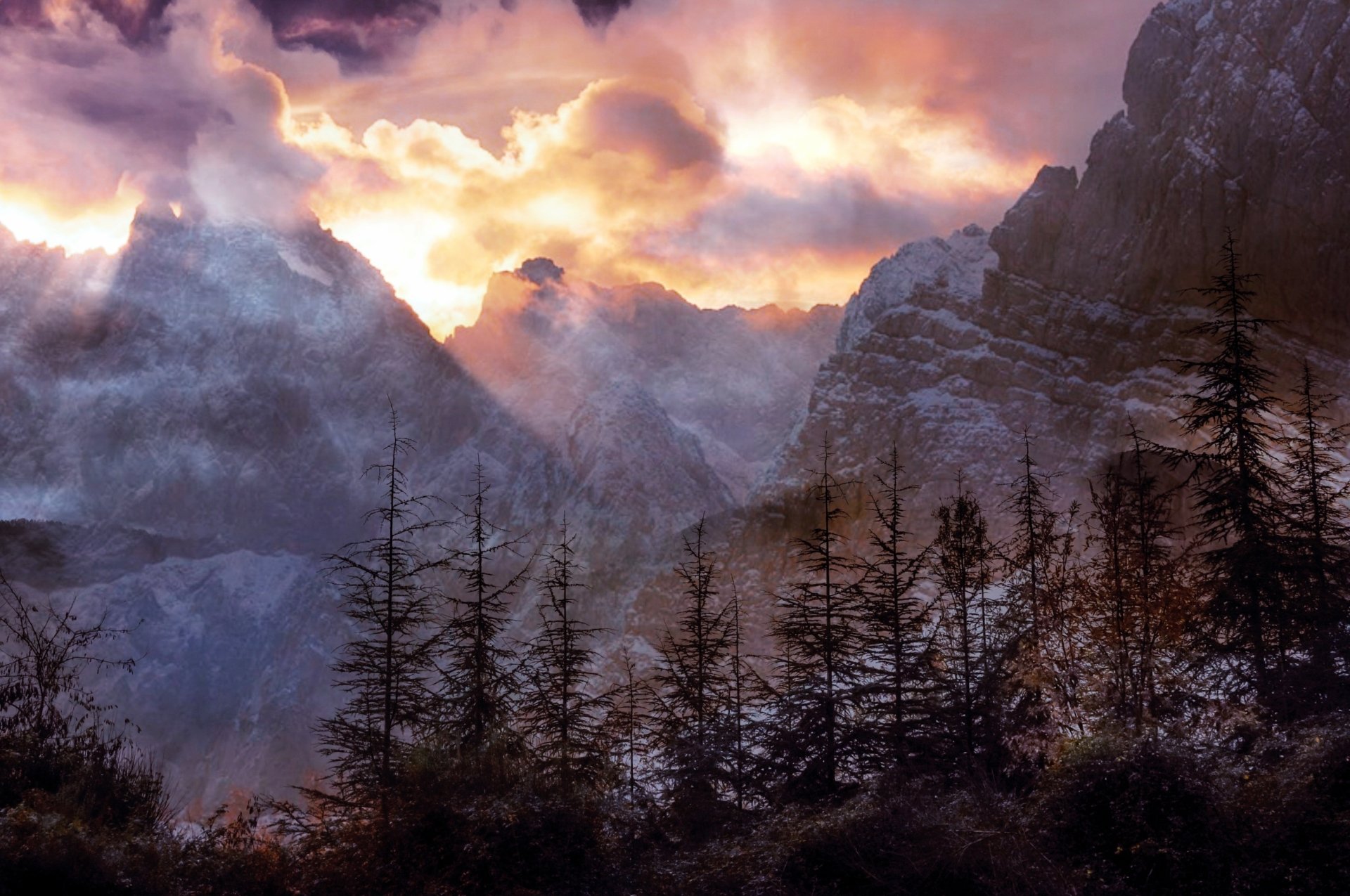 Download Tree Mountain Nature Landscape Image