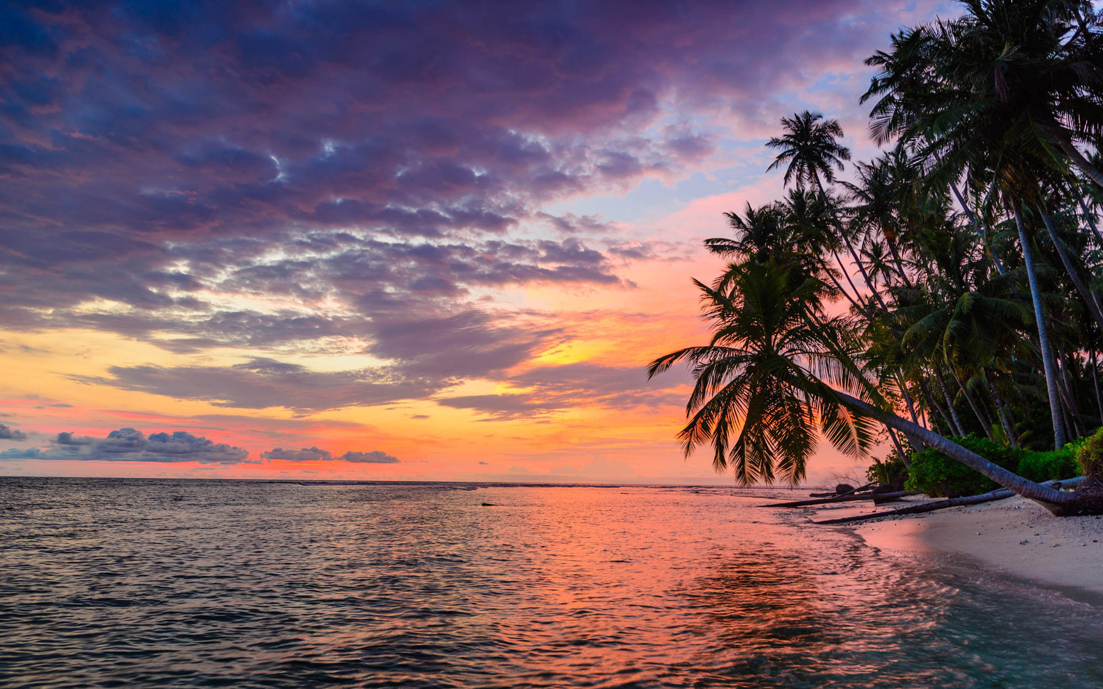 Sunset over Tropical Beach - Image Abyss