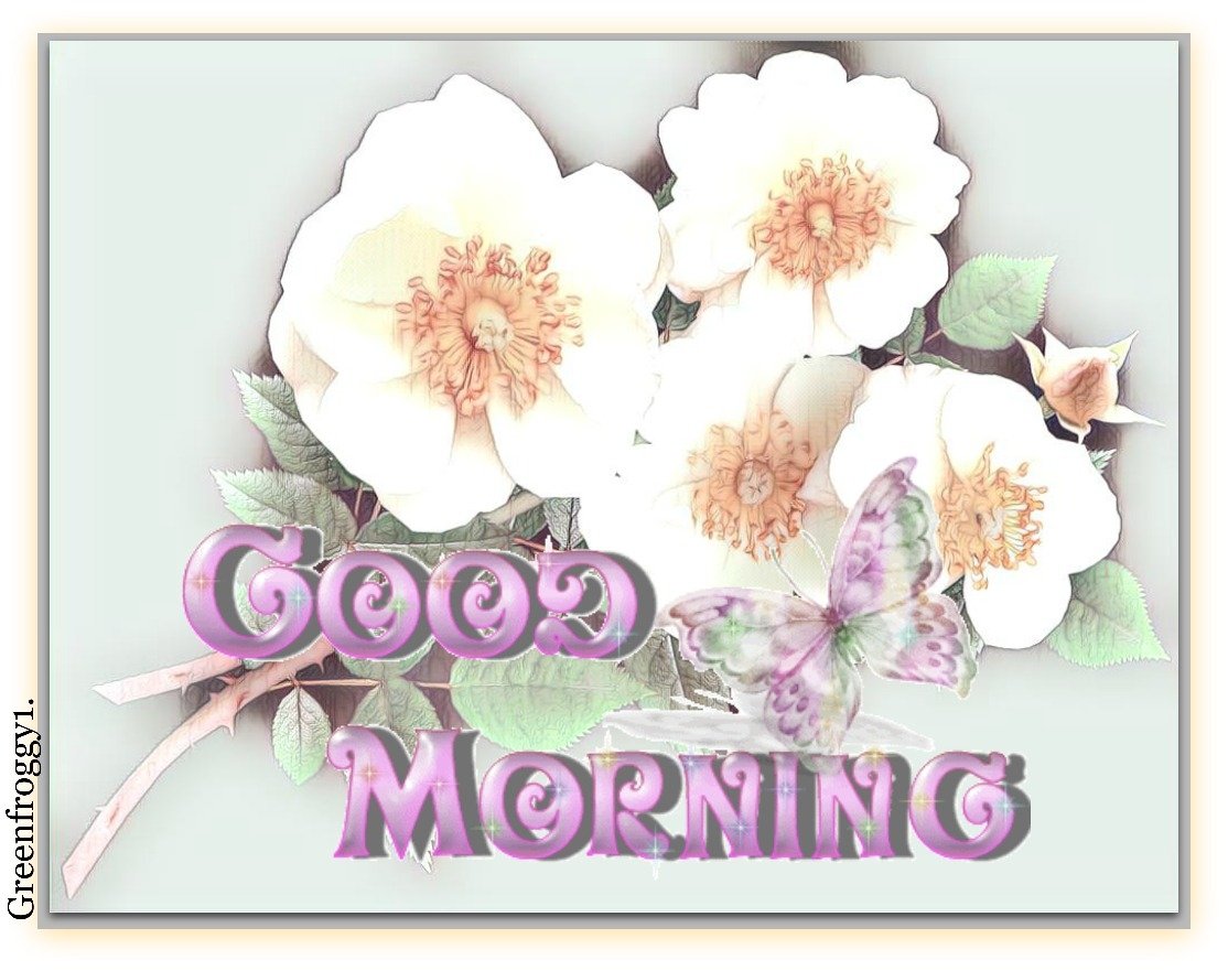 GOOD MORNING by GREENFROGGY1