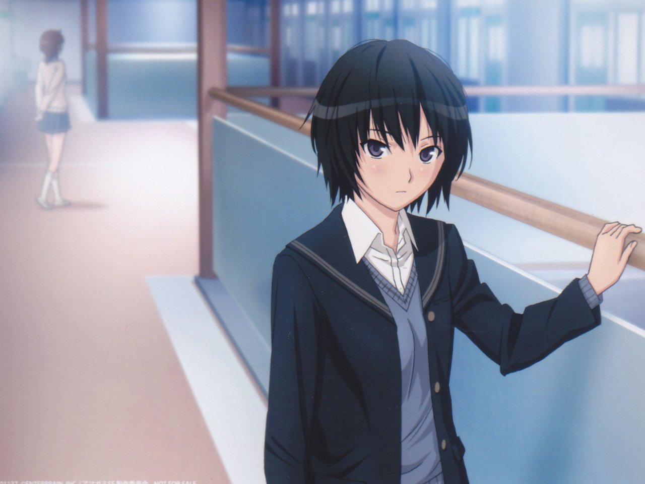 Download Anime Amagami Image