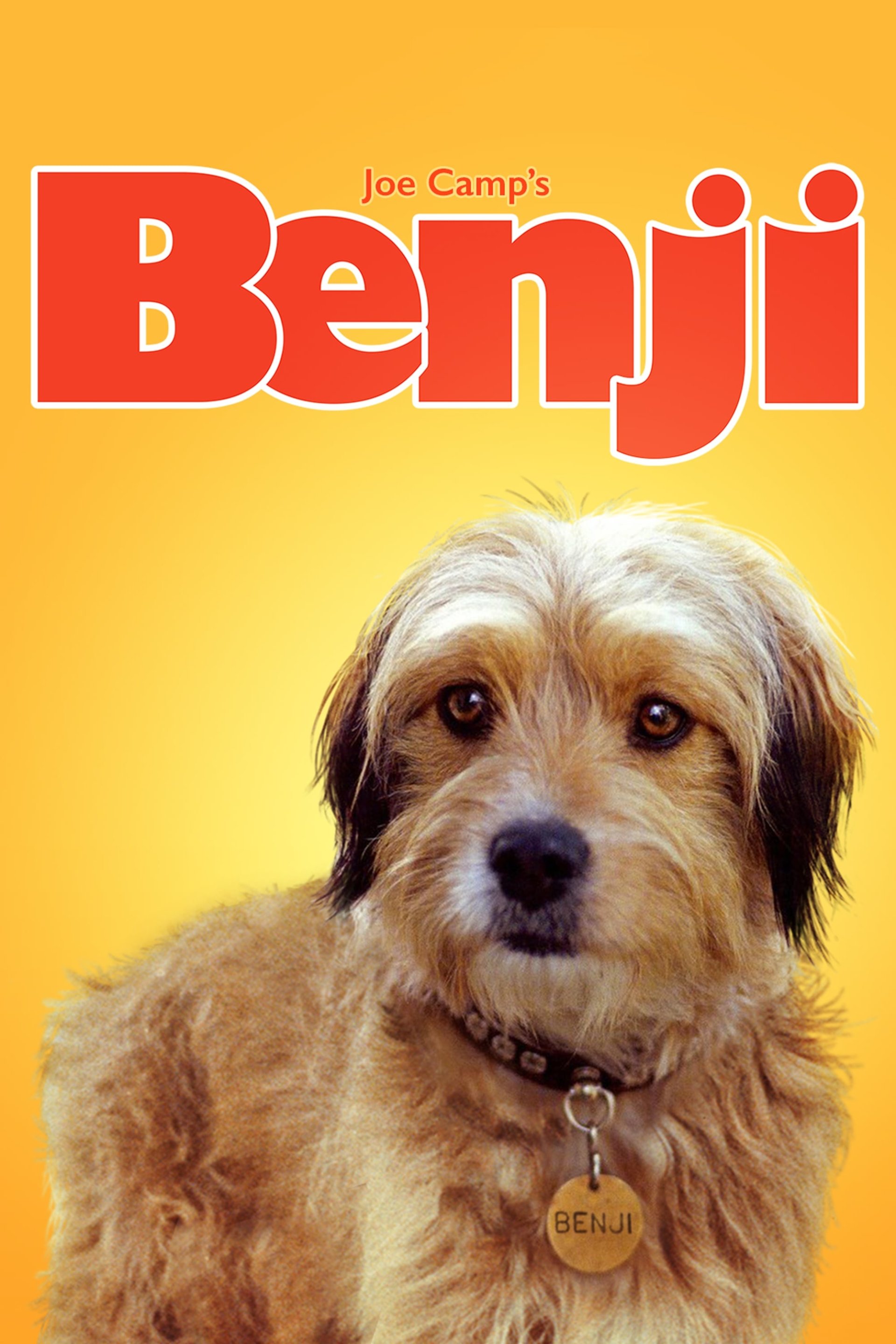 Benji - Desktop Wallpapers, Phone Wallpaper, PFP, Gifs, and More!