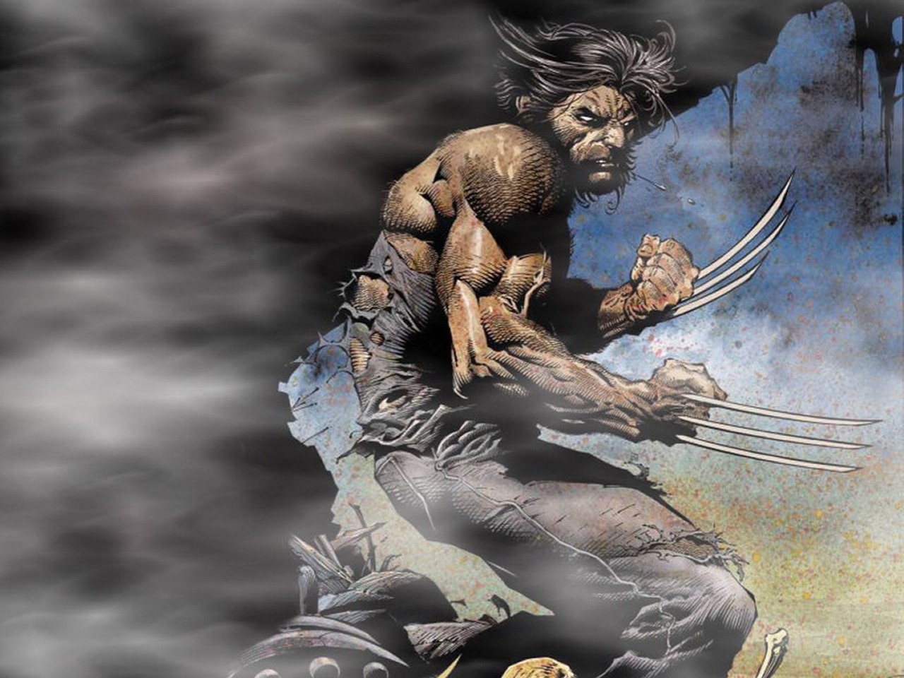 Wolverine Picture - Image Abyss