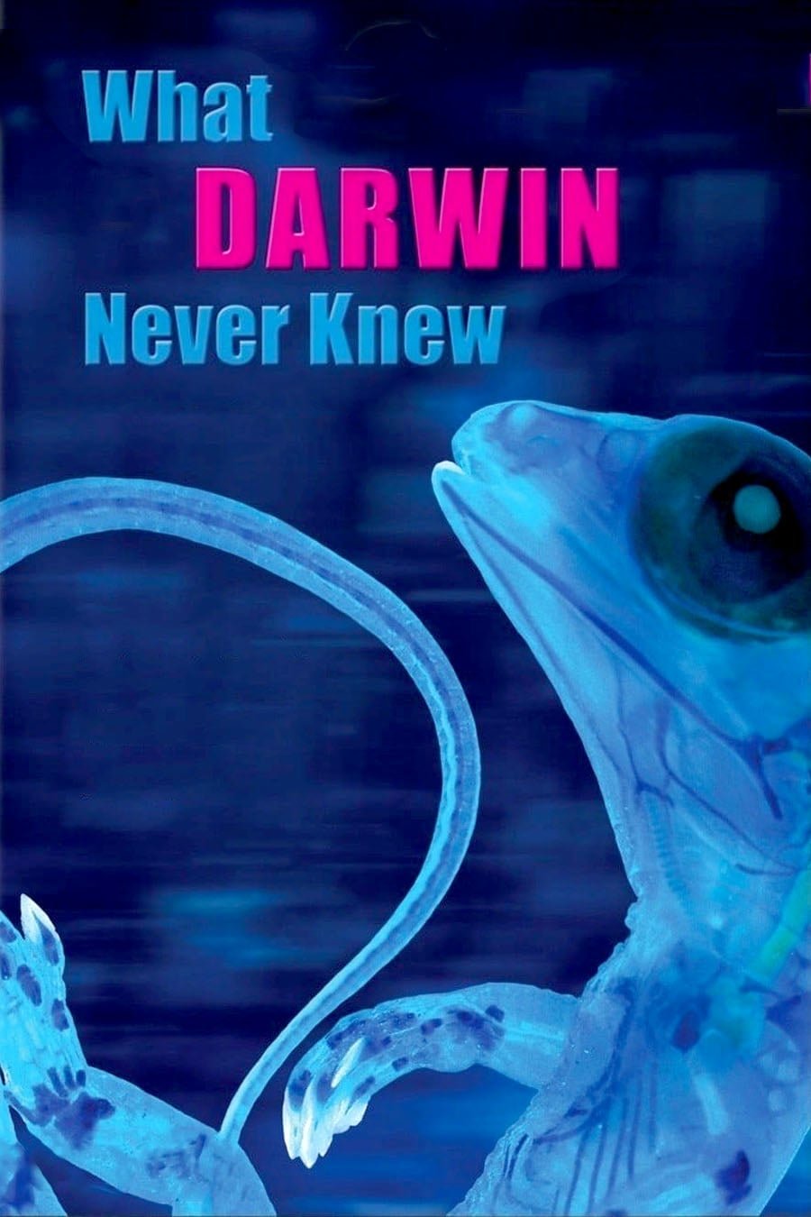 What Darwin Never Knew - Desktop Wallpapers, Phone Wallpaper, PFP, Gifs ...