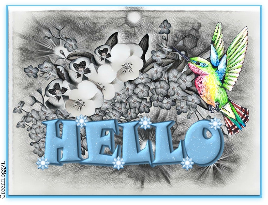 HELLO Image - ID: 352911 - Image Abyss