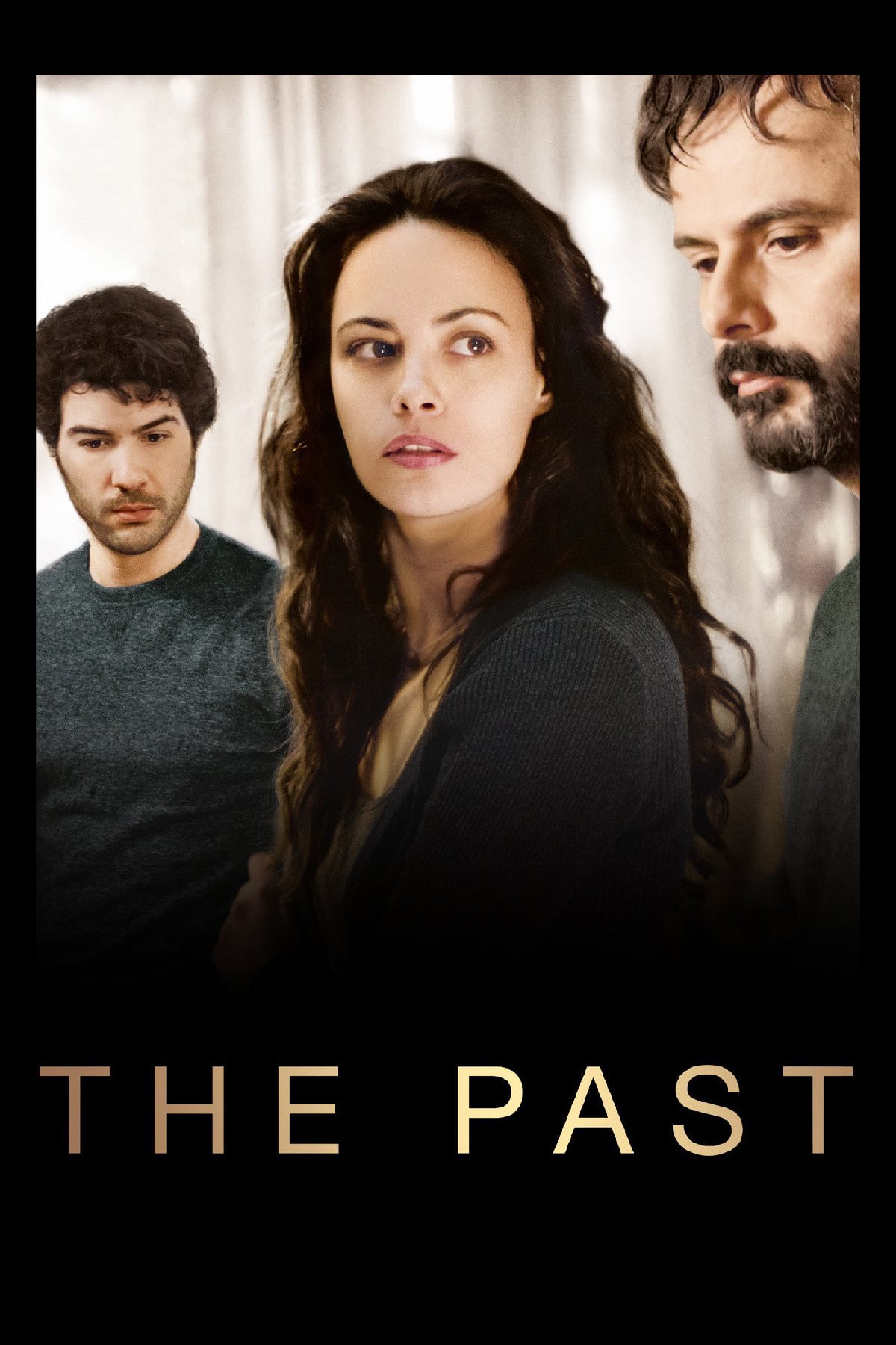 Download Movie The Past Image